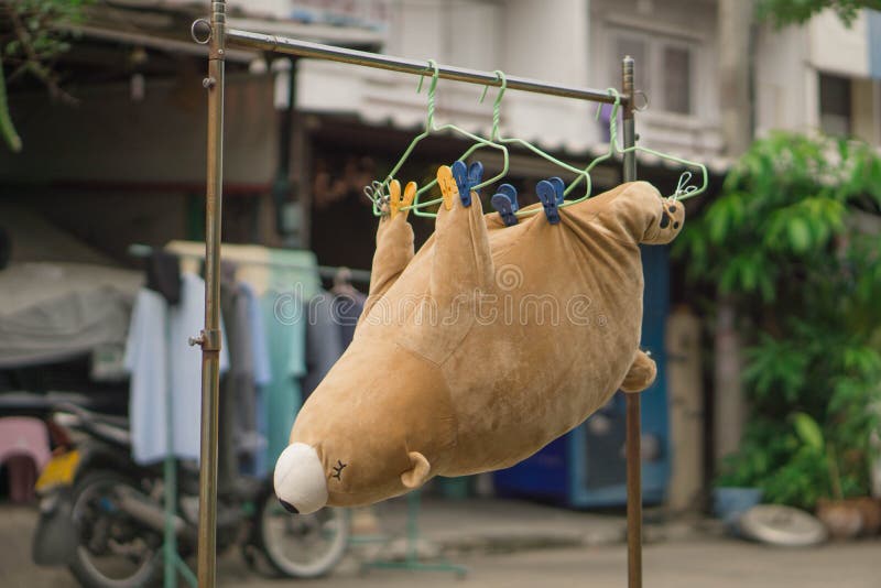 Cleaning Teddy Bear stock photo. Image of laundry, house - 115732070