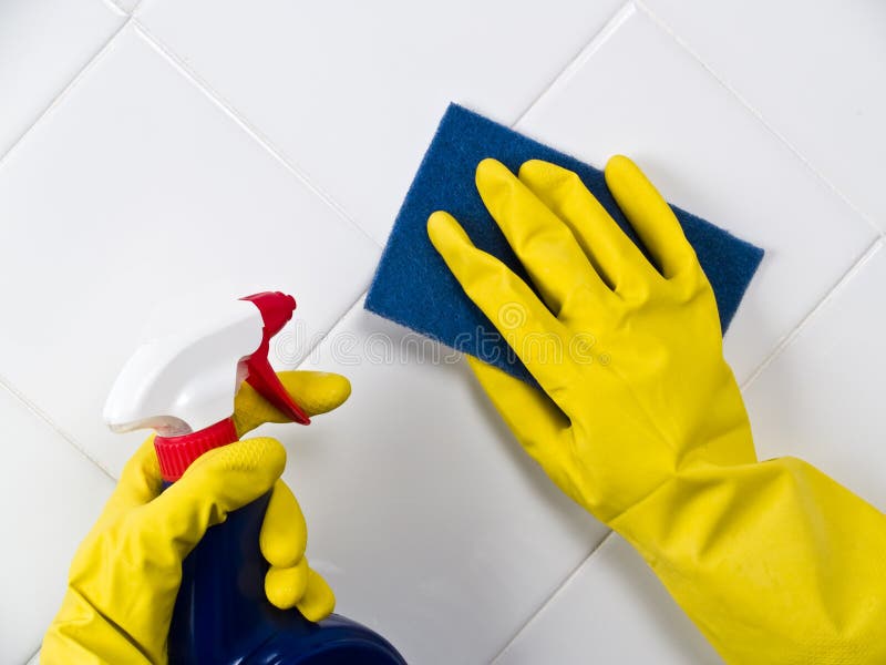 Cleaning tile stock photo. Image of dust, home, holding - 14642302