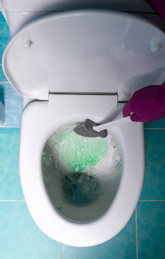 Cleaning the Toilet with a Silicone Brush. Stock Image - Image of ...