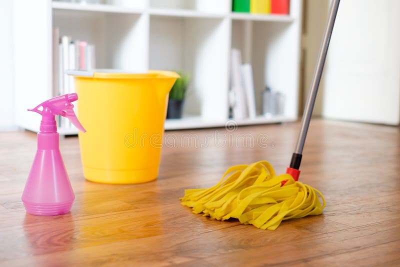 Maid Hands with Cleaning Tools. Stock Photo - Image of gloves ...