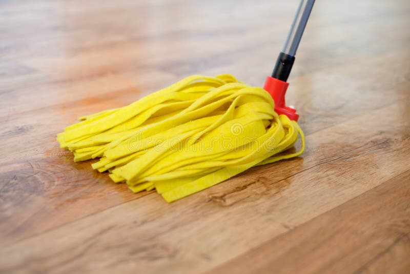 Cleaning Tools on Parquet Floor Stock Image - Image of flooring, liquid ...