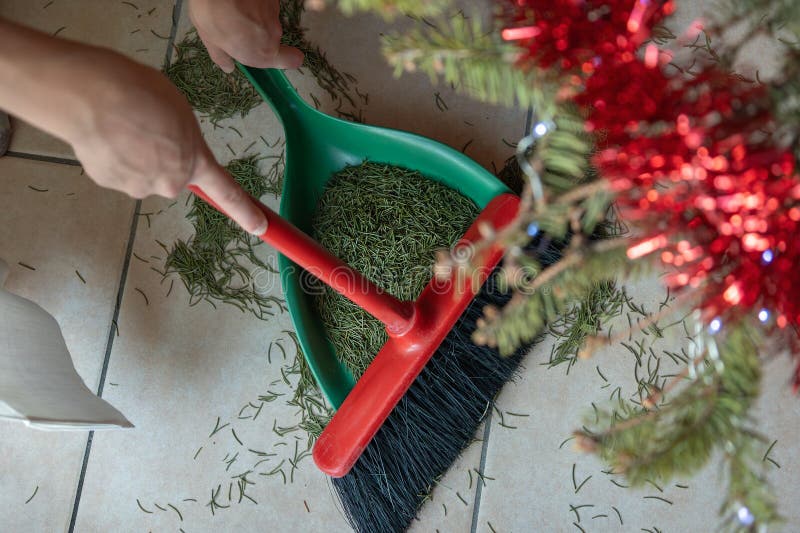 Cleaning Up Holiday Tree Needles: Hands Sweeping Pine Needles from ...