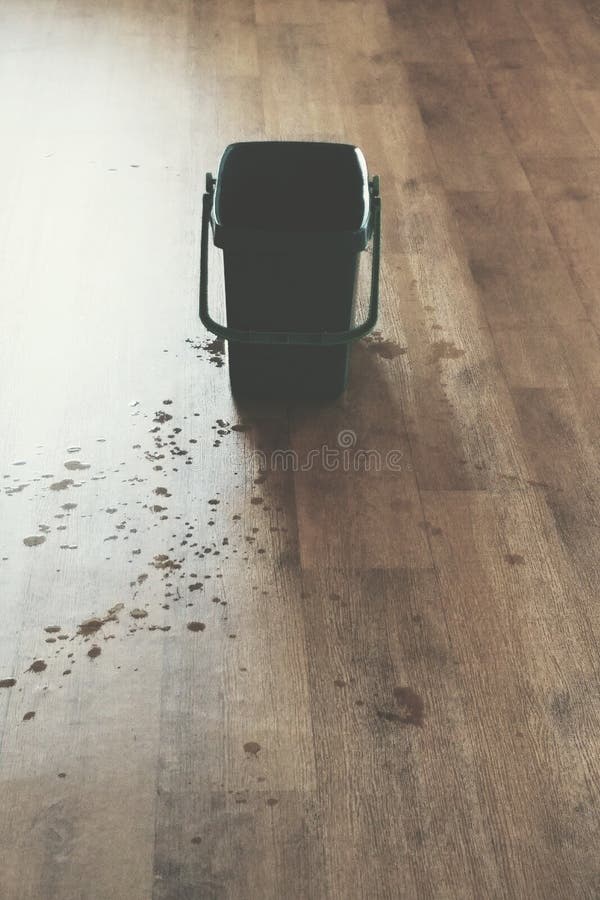 Cleaning up stock photo. Image of cleaning, clean, mess - 125962536