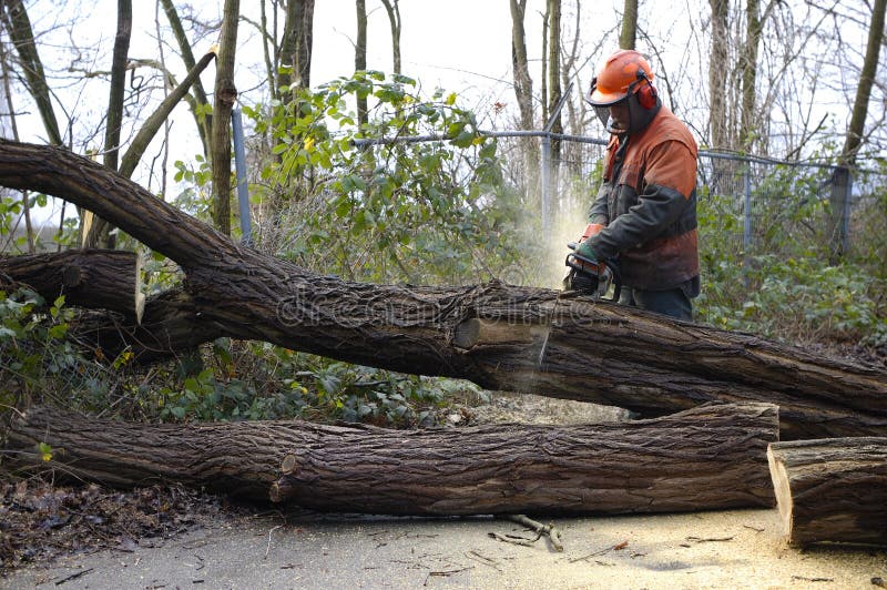 Cleaning up after a storm stock image. Image of damage - 1799009