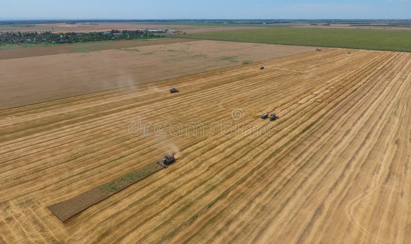 Cleaning wheat harvester stock image. Image of agricultural - 74741323