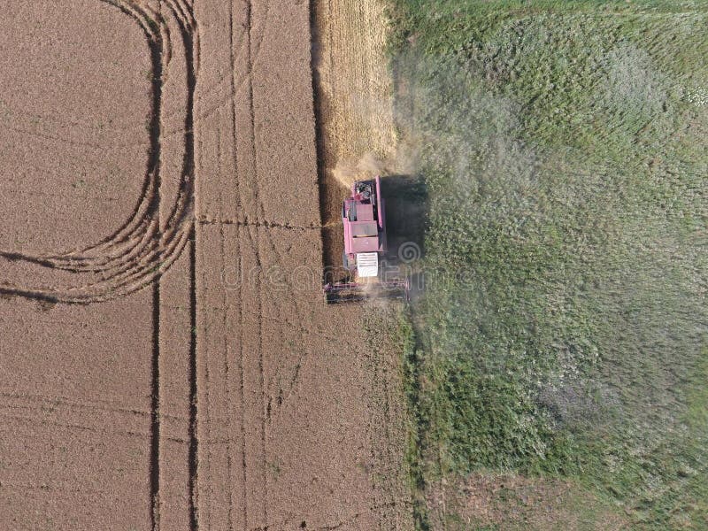 Cleaning wheat harvester stock photo. Image of food, growth - 74741526