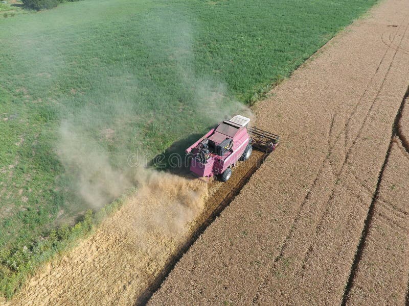 Cleaning Wheat Harvester. Top View. Stock Photo - Image of plant ...