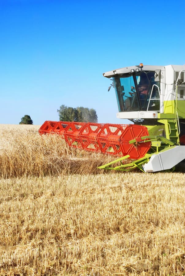 Cleaning of a Wheaten Field by a Combine Stock Photo - Image of harvest ...