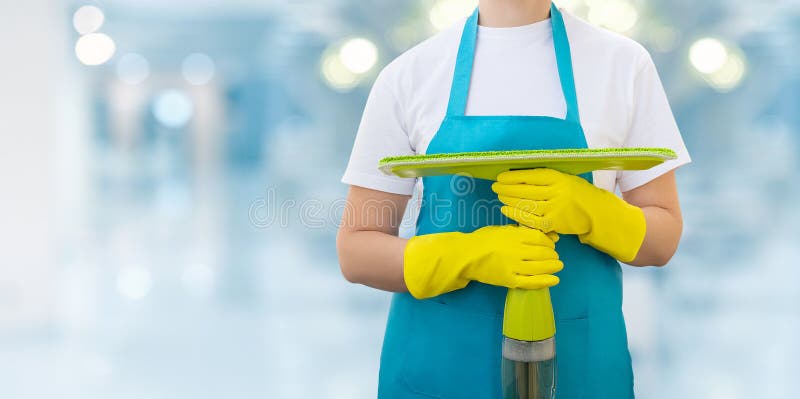 Cleanliness and order stock illustration. Illustration of means - 343135357
