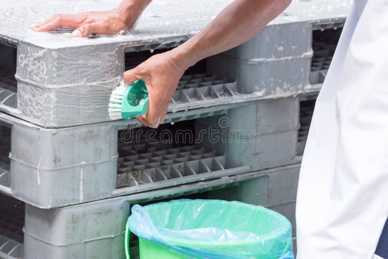 Cleanliness of Plastic Pallet Stock Image - Image of handyman ...