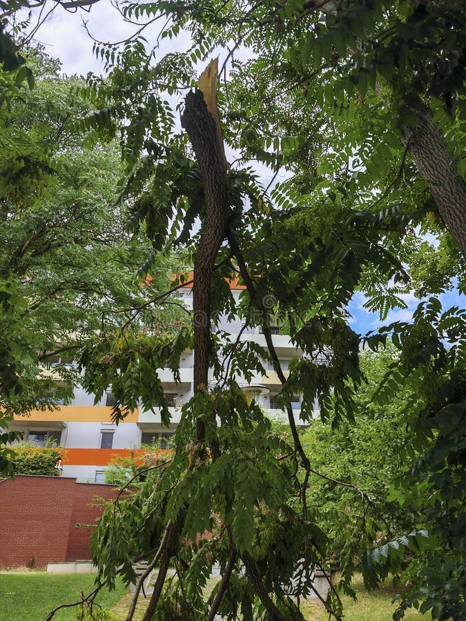 497 Wind Gust Damage Stock Photos - Free & Royalty-Free Stock Photos ...