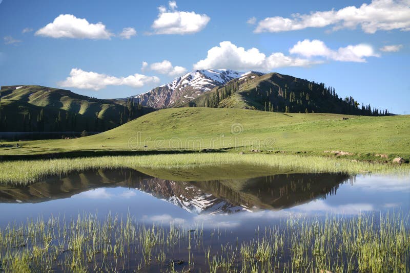 Clear stock image. Image of summer, reflection, landscape - 23190197
