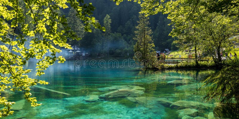 Clear Azure Lake in the Forest with the Trees in the Background Stock ...