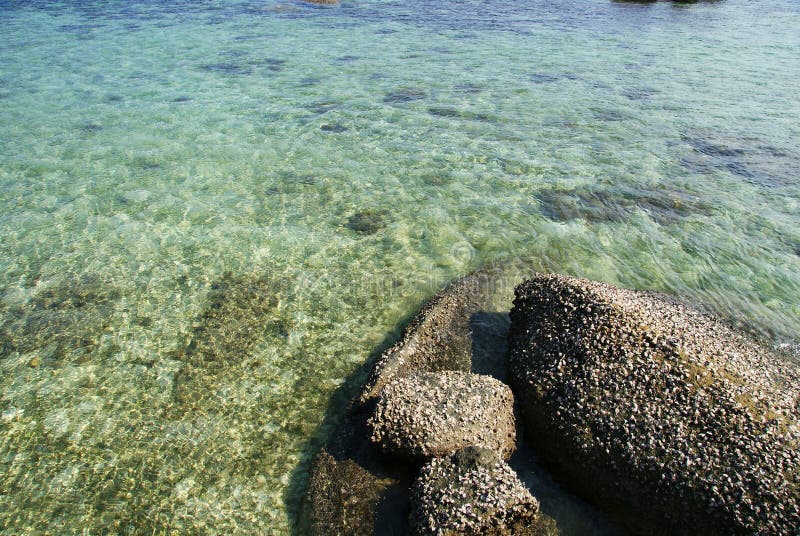 Clear Beach stock photo. Image of idyllic, northland - 94132664