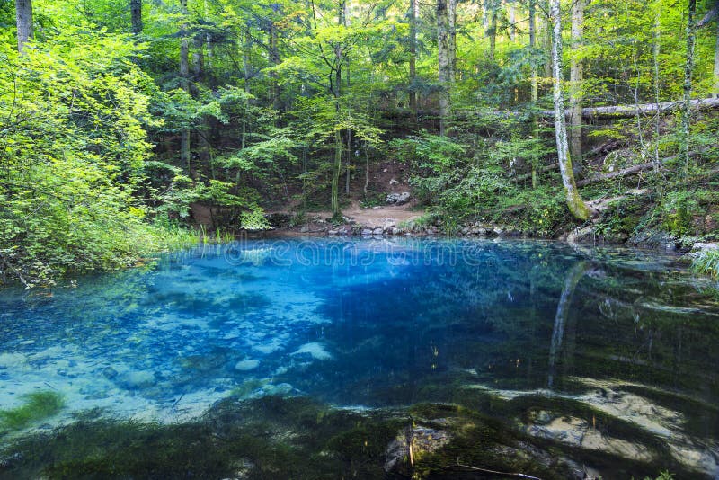 Clear and Beautiful Water Source Stock Image - Image of peaceful ...