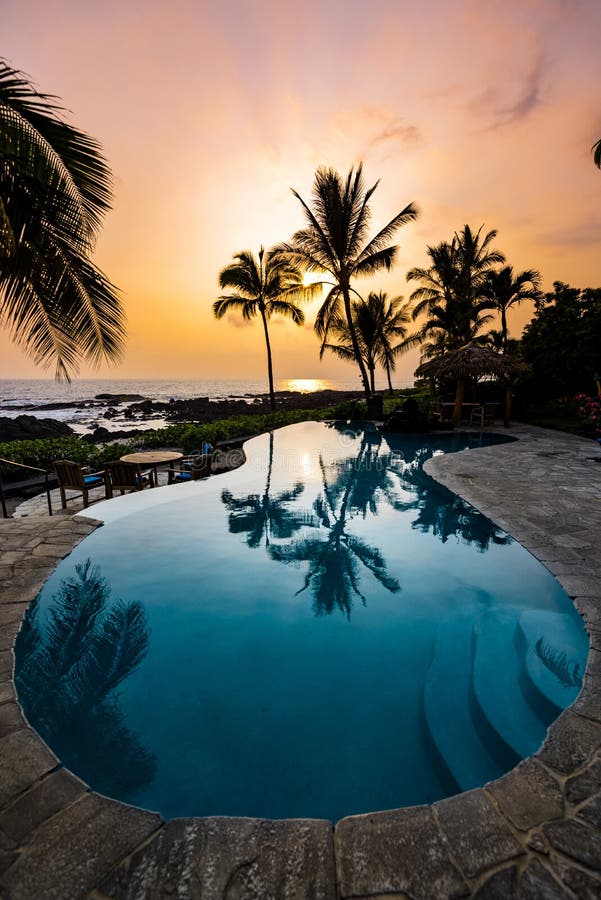 Clear Blue Infinity Pool at Sunset with Palm Tree Silhouette in Hawaii ...