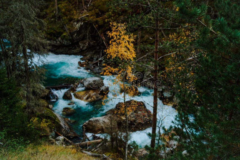 A Clear Blue Mountain River Flows in an Autumn Mountain Forest Stock ...