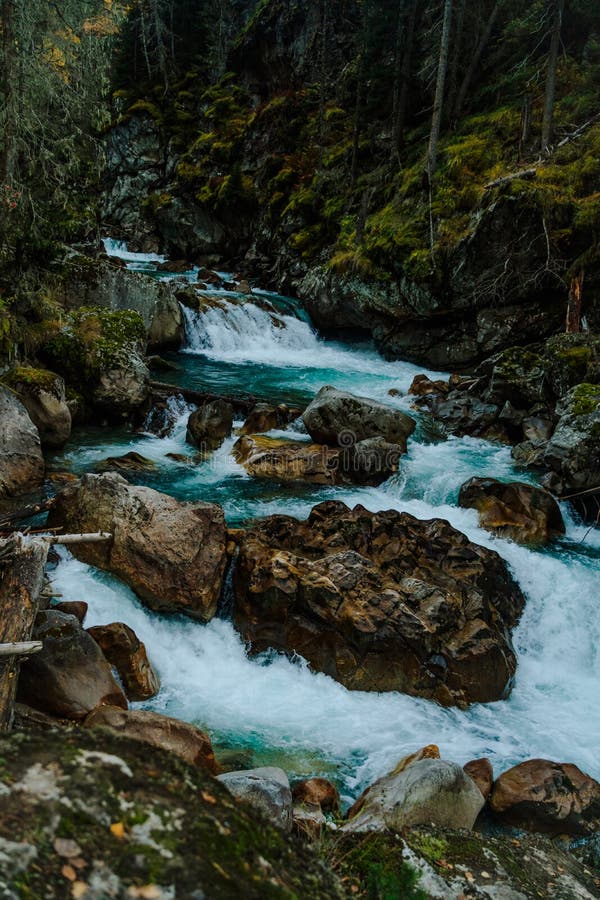 A Clear Blue Mountain River Flows in an Autumn Mountain Forest Stock ...