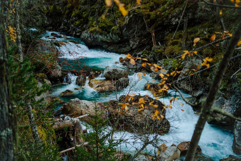 A Clear Blue Mountain River Flows in an Autumn Mountain Forest Stock ...