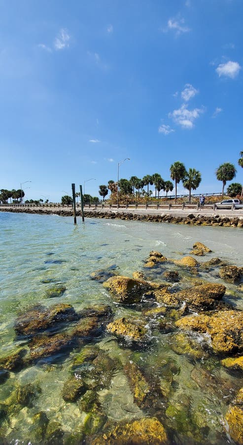 Clear Blue Ocean Water at a Beach in Tampa, Florida Editorial Photo ...