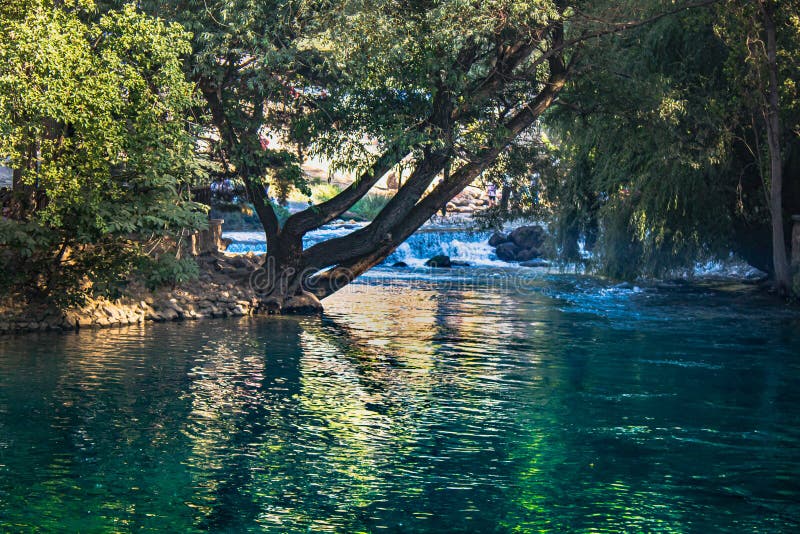 Clear Blue River with Big Tree on the Side Stock Photo - Image of clear ...