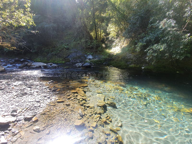 Clear Blue River Water. Green Forest Stock Image - Image of rock ...