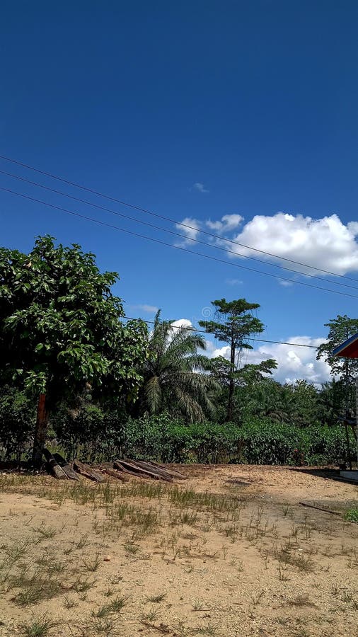 The Clear Blue Sky and the Lush Greenery Make for a Stunning View Stock ...