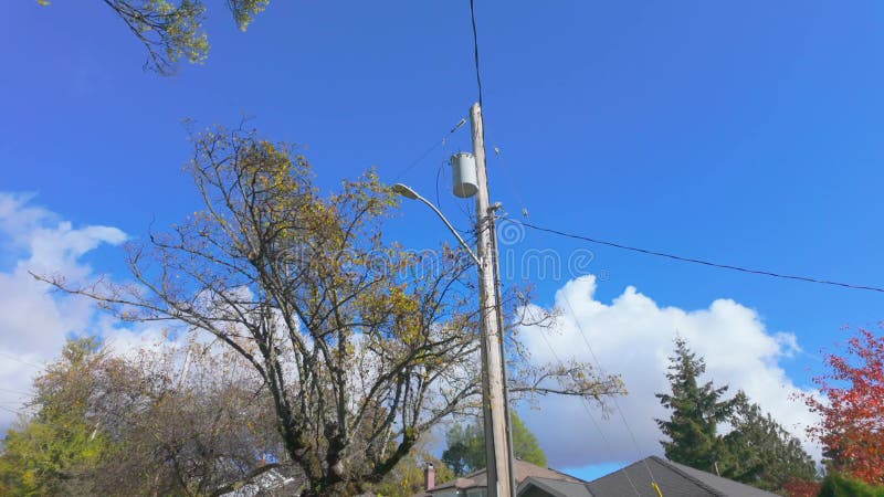 Clear Blue Sky with a Utility Pole, Surrounded by Trees and Rooftops ...