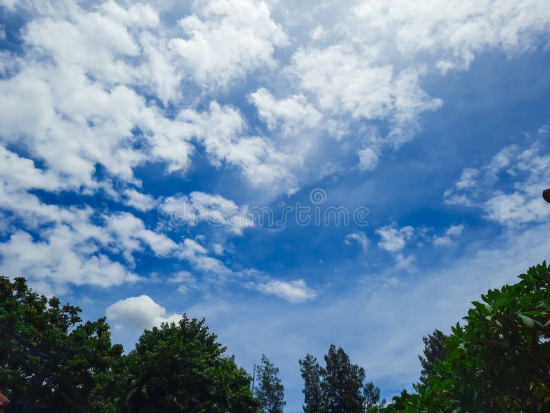Clear Blue Sky and White Clouds Over the Trees Stock Photo - Image of ...
