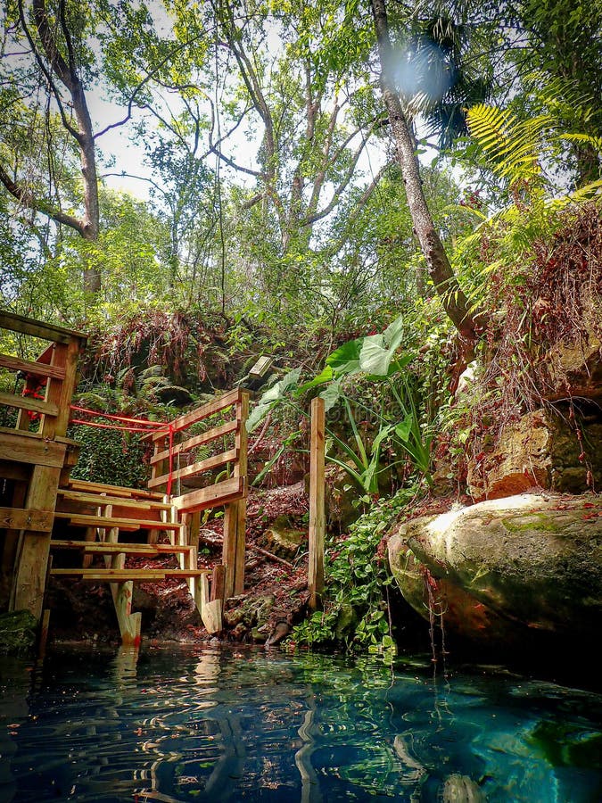 Clear Blue Spring Waters Surrounded by Boardwalk and Deck in Lush ...