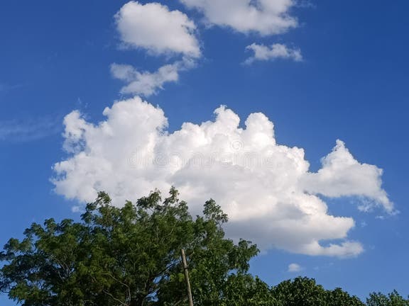 Clear Bright Clouds with a Touch of Greenery Fresh Airy Trees. Stock ...