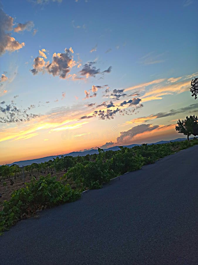 Clear brightest sunset stock image. Image of weather - 281867831