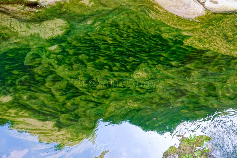 Clear brook stock photo. Image of inverted, clear, mountians - 98178978