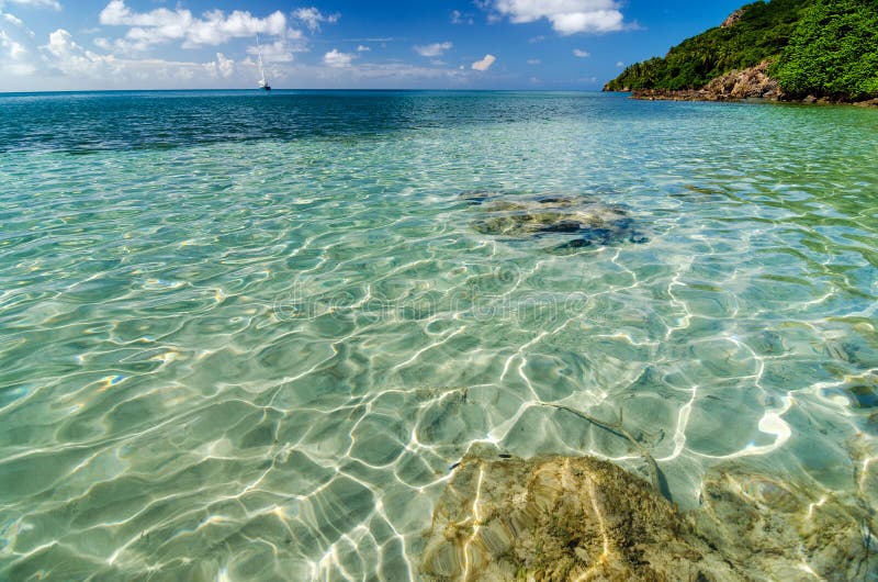 Clear Water at the Scenic Wild Beach, Sithonia, Greece Stock Photo ...