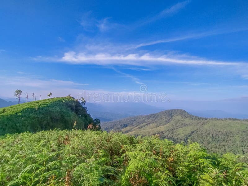 Clear Clean Blue Sky Mountain Stock Image - Image of tree, wilderness ...