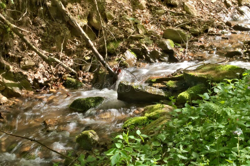 Clear Cold Drinking Water of Mountain Stream Stock Photo - Image of ...