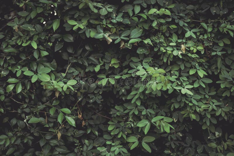 Clear container wall stock image. Image of beautiful - 113533449