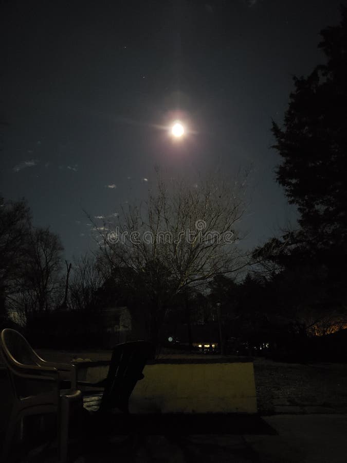 Clear creepy moon stock image. Image of trees, creepy - 138405177