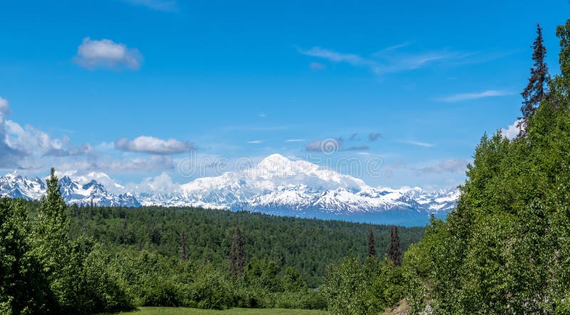Clear Denali Panorama stock photo. Image of landscape - 262611256