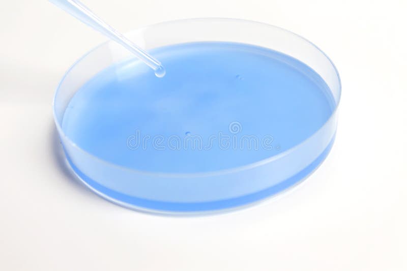 Clear Dishes are Used in Scientific and Medical Experiments Stock Image ...