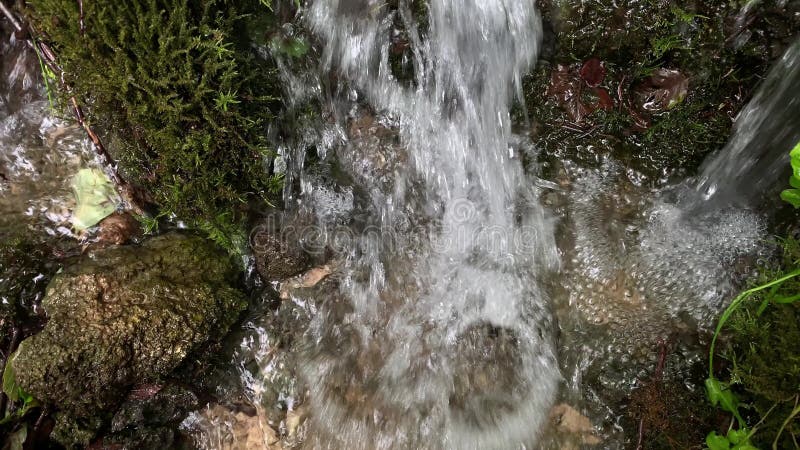 Clear Drinking Water Falling Down from the Forest Spring and Flows ...