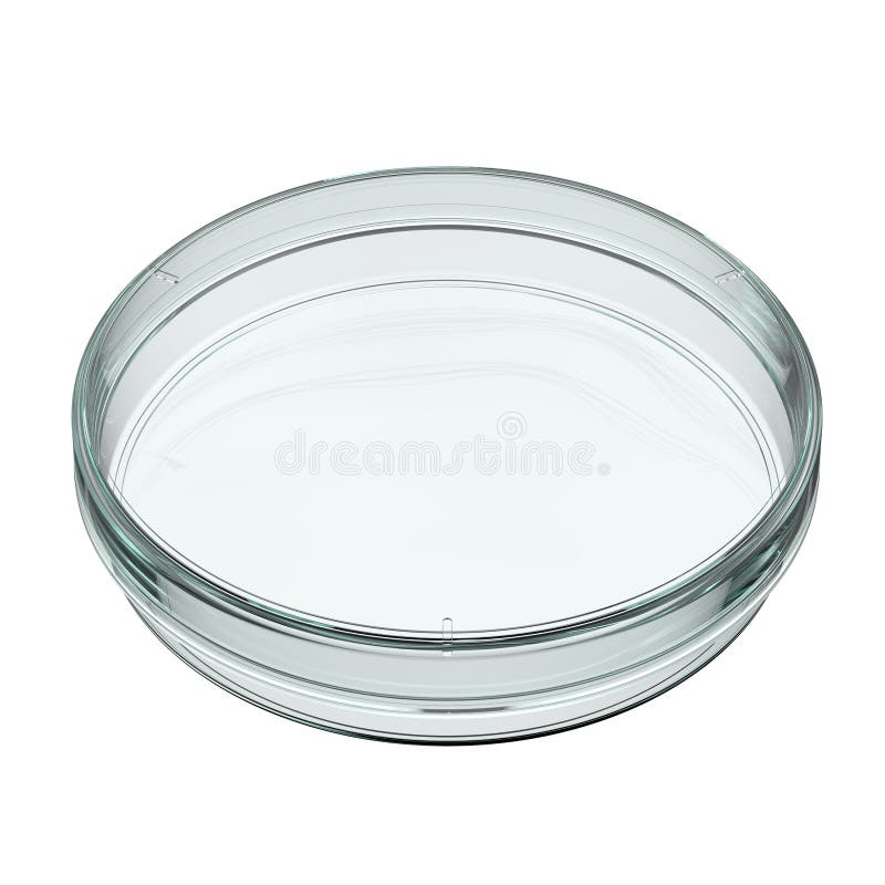 Clear Empty Transparent Glass Petri Dish Closed with Transparent Lid ...