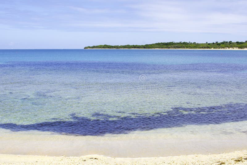Clear Fiji Water stock image. Image of business, beach - 121549909