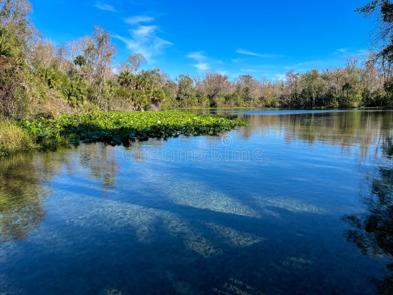 A Clear Florida Spring in Orlando, Florida Area Stock Photo - Image of ...