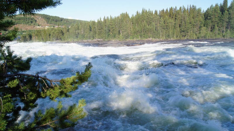 Clear flow of the river stock image. Image of rapids - 293315963