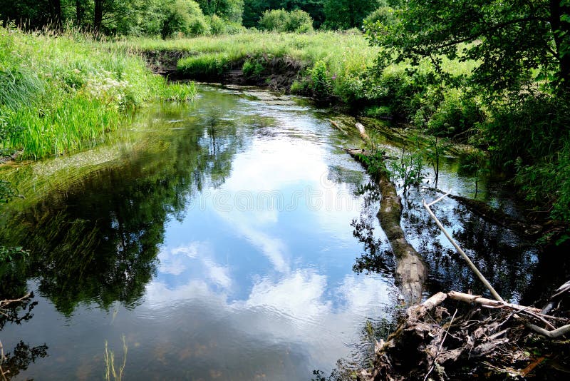A Clear Forest River with Clouds Reflected in the Water Stock Image ...