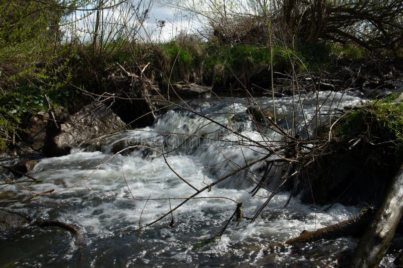 Clear, Fresh Water Flows Down a Small Stream. a Small Waterfall Has ...