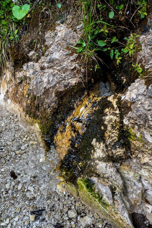 Clear and Fresh Water Flows from Mountain Spring into River Stock Photo ...