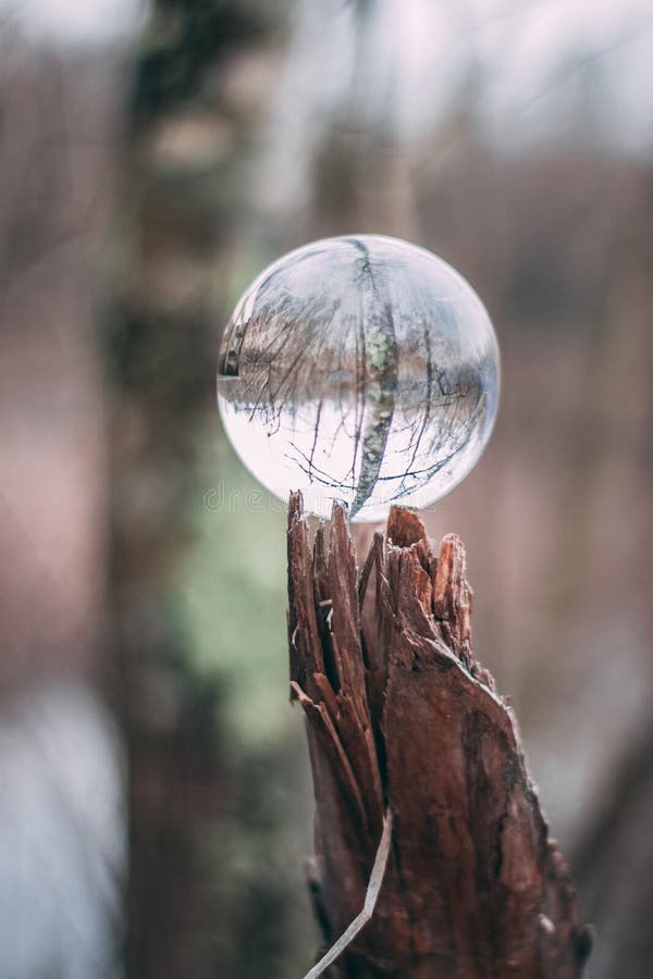 Clear Glass Ball Picture. Image: 115550404