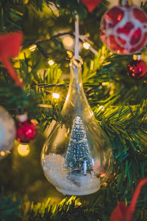 Clear Glass Green Christmas Tree Ornament Stock Image - Image of ...